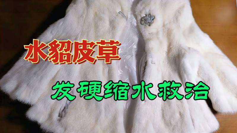 水貂毛皮草发硬缩水分四个步骤操作就可以救治回来