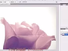 PS教程_PS视频_PS基础教程使用减淡工具和加深工具