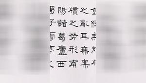 气定神闲,隶书书法视频!