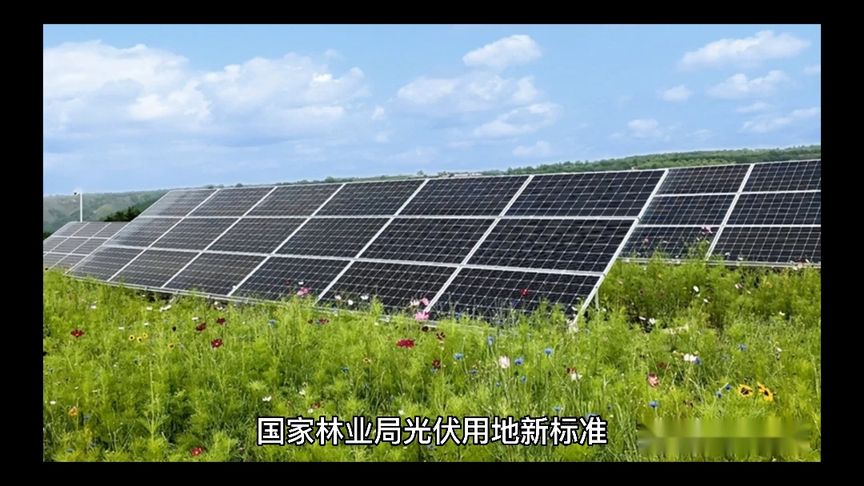 投资集中式光伏电站林业用地要求,避免入坑!