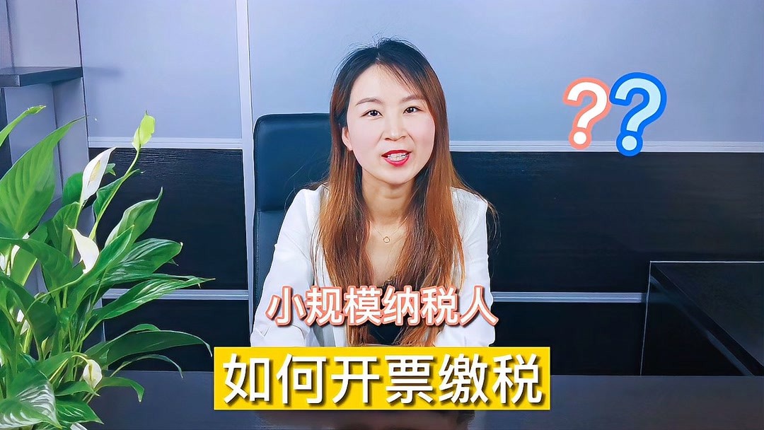小规模纳税人如何开票缴税?