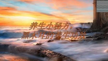 养生小秘方, 黑木耳的养生功效