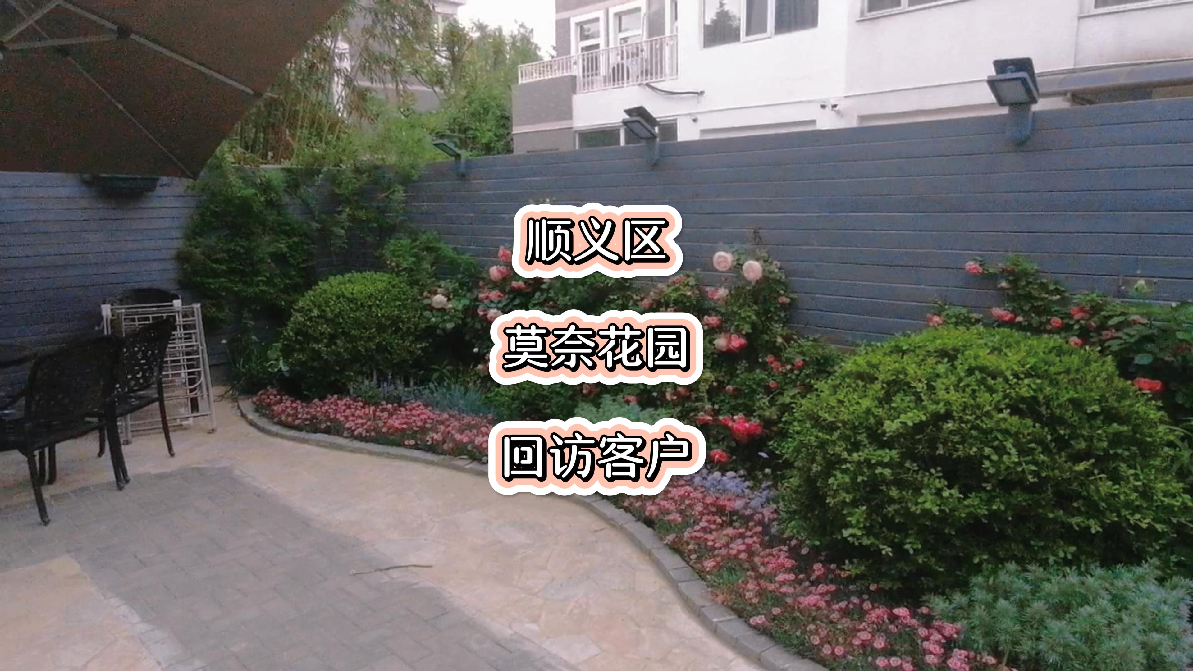 ...花园回访客户 #别墅花园设计#景观设计#花园改造#客户回访#庭院设计