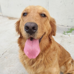 饭饭财会资料库 