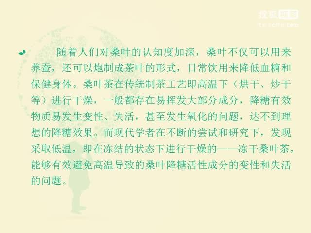 桑叶茶有什么作用