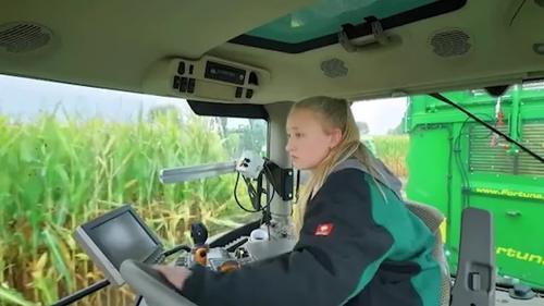 感受现代农场规模化收青贮的技术,直供应养殖业