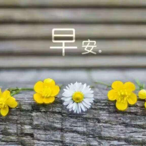 前端vue基础学习 