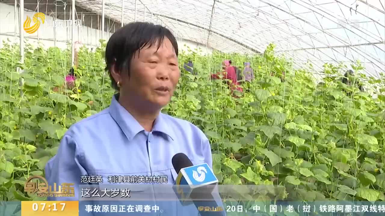 百城千县万村调研行 东营利津前关村:促成土地流转 让村民收入翻了一番