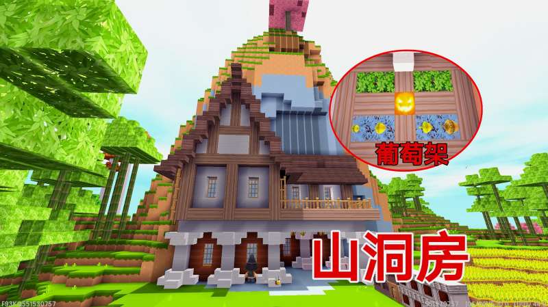 迷你世界高级生:山脚下面的豪华别墅房,解锁葡萄架装饰方法