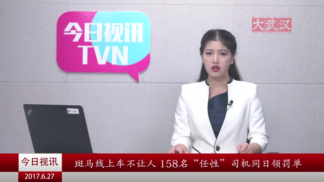 斑马线上车不让人 158名“任性”司机同日领罚单