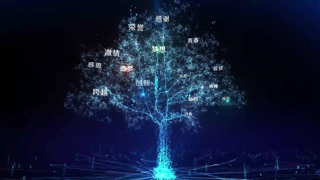 太好看了,公司年会!深圳湘阴商会协会 宣传片