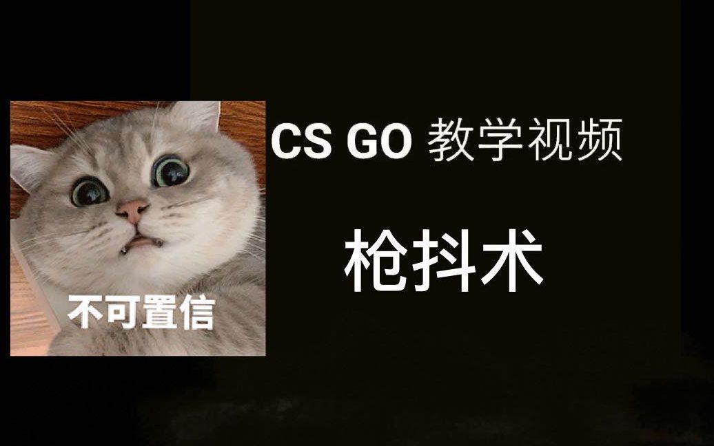 在?进来学CS GO的枪抖术