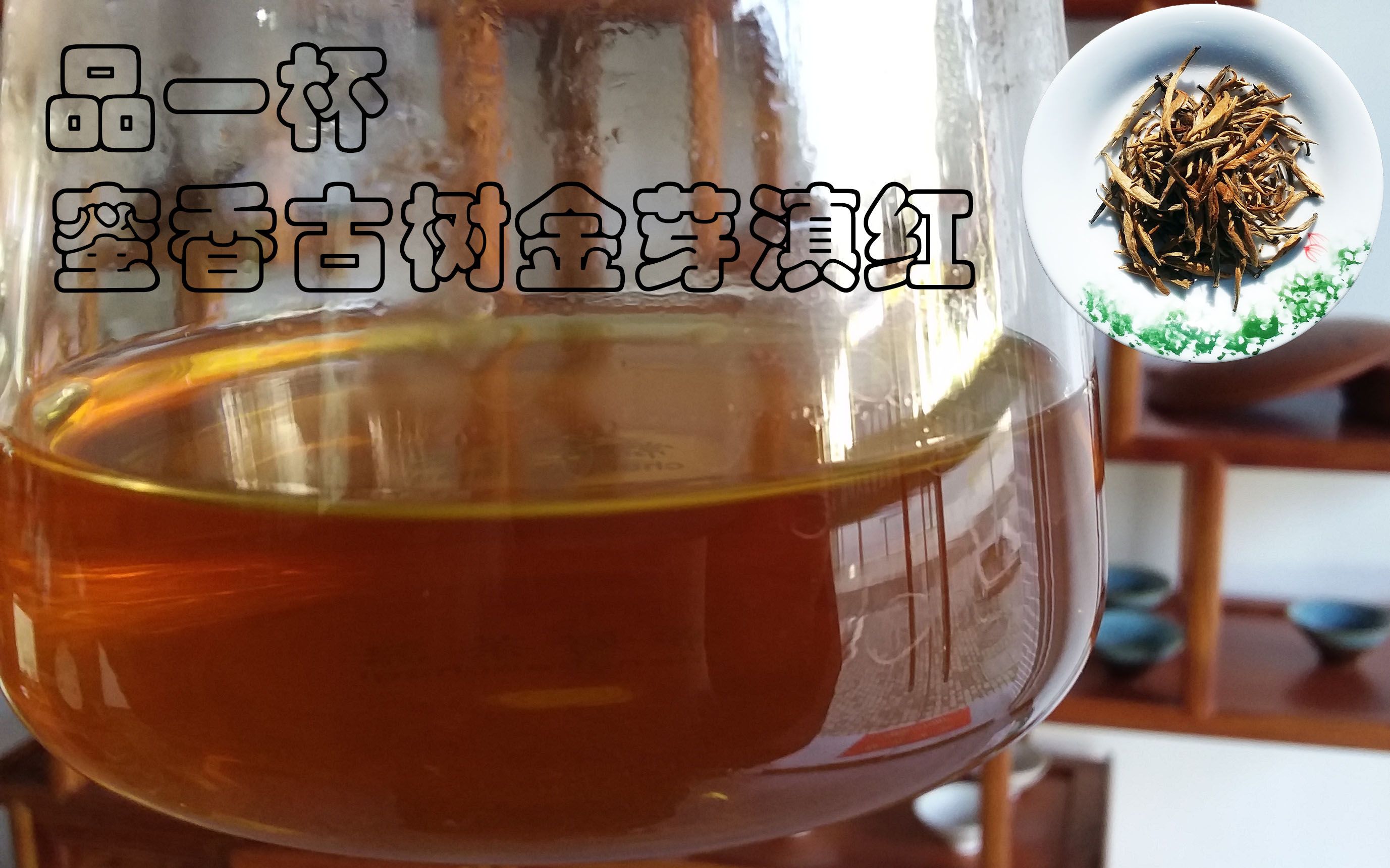 【茶】【滇红】品一杯蜜香古树金芽滇红