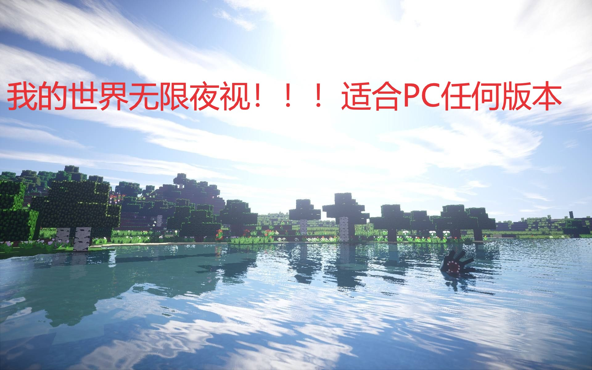 [我的世界]无限夜视你学费了嘛!