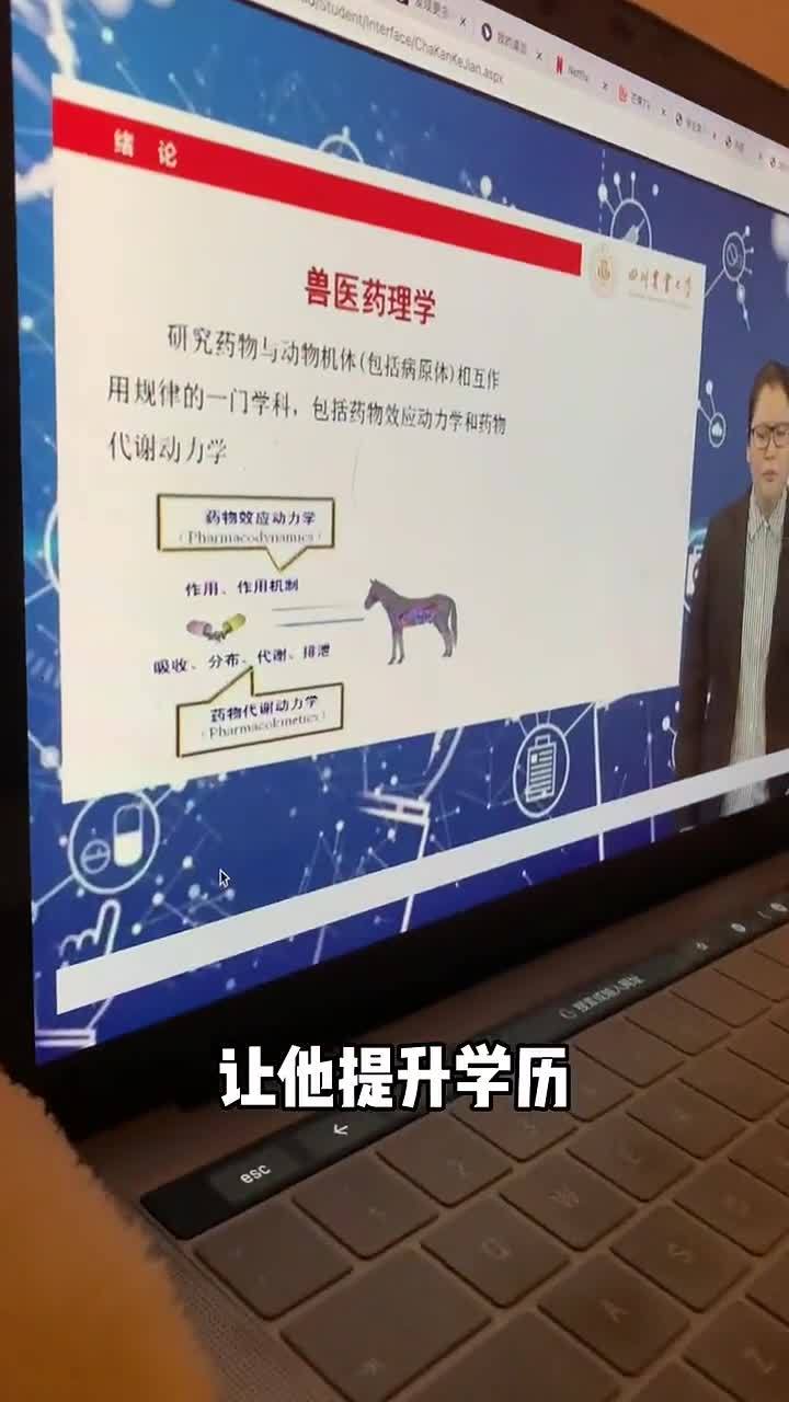 在家上网课就好好上!网课上网课的你