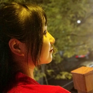源泉ZG 