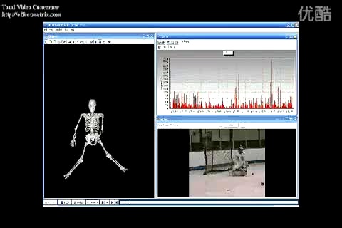 实时无线传感动作捕捉及力学分析系统-冰球
