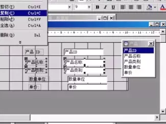 Access 2003数据库案例教程