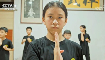 《记住乡愁》 第五季 20190111 第八集 佛山祖庙历史文化街区——...