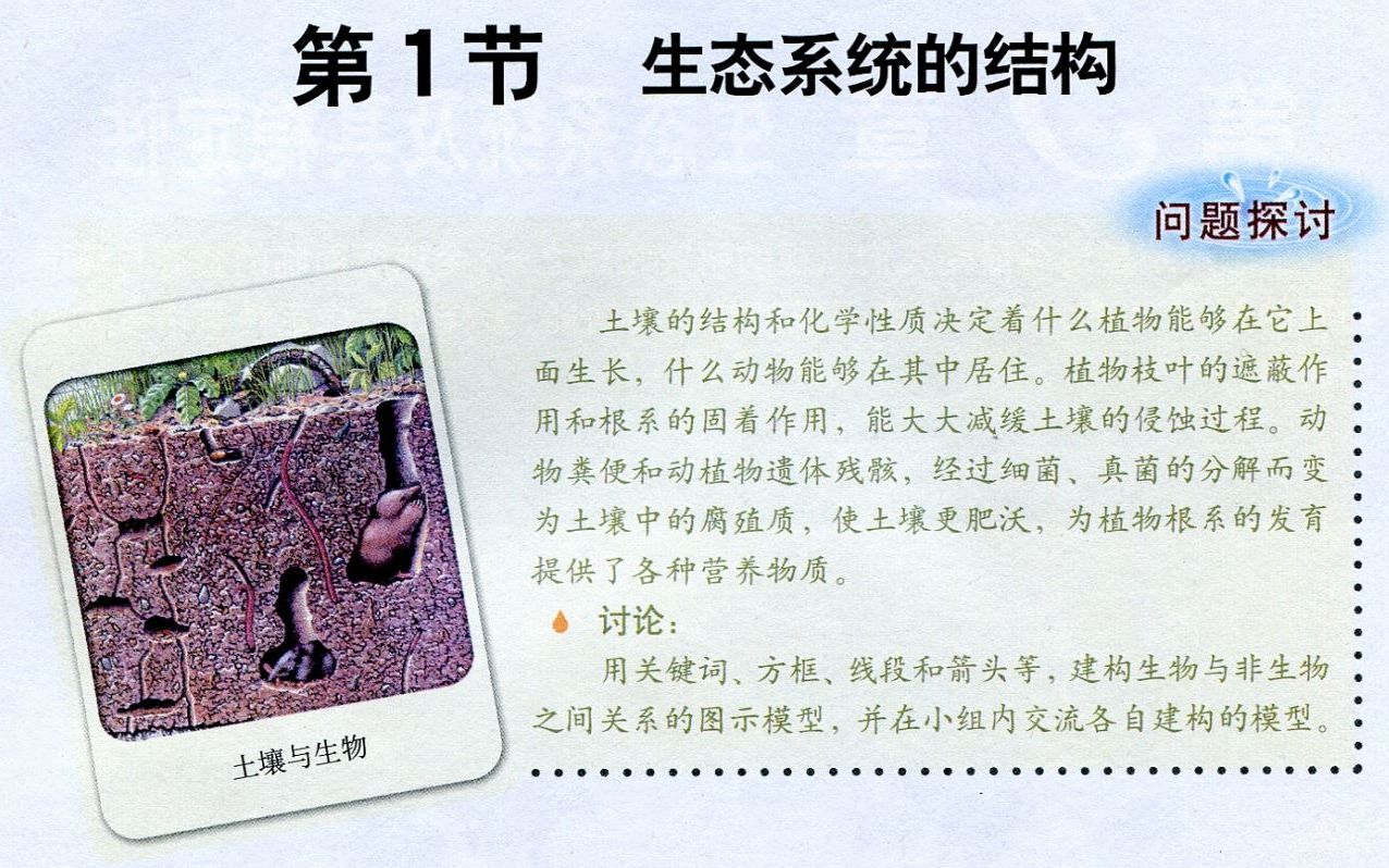 【录屏】生态系统的结构