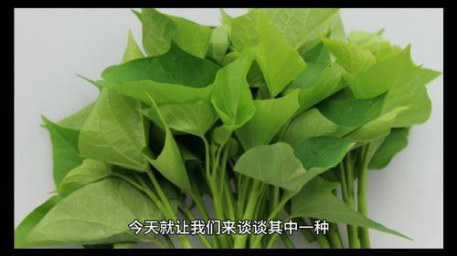 别再浪费了 这些厨房"边角科"都是宝藏#生活知识 #食品安全