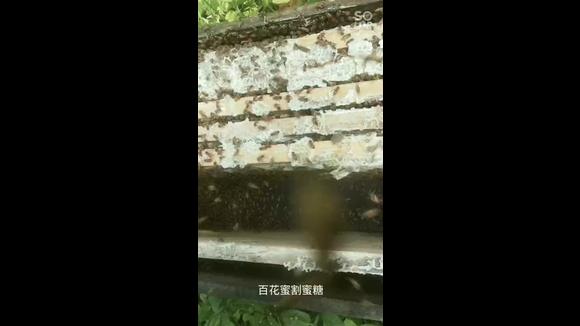 深山纯天然百香果蜂蜜