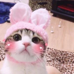 圆圆爱生活 
