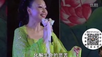 大悲咒 佛教音乐歌曲大全100首观音菩萨阿弥陀佛圣号佛歌视频-千手...