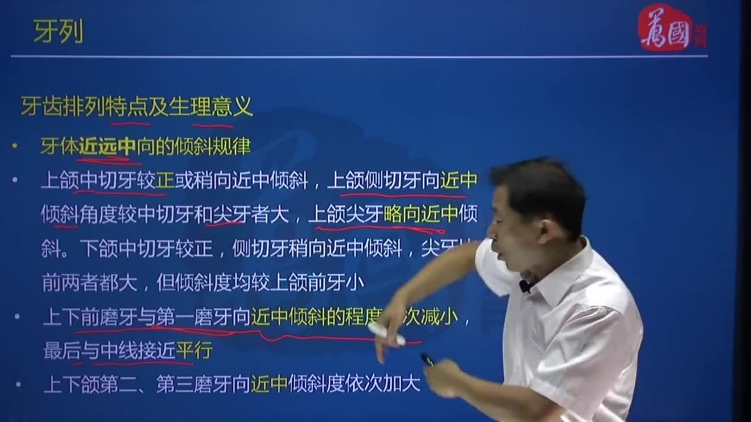 口腔解剖生理学-牙合与颌位