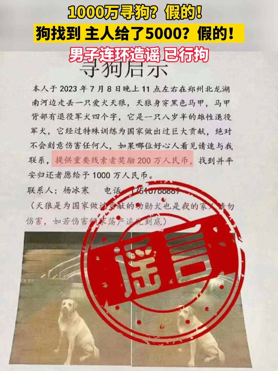 悬赏1000万元寻狗。丢狗为杜撰,当事人被行拘15日