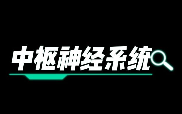 神经系统——中枢神经系统
