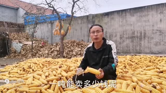 14标准水分玉米1吨卖2500元,28水分玉米1吨卖多少钱?咋计算?