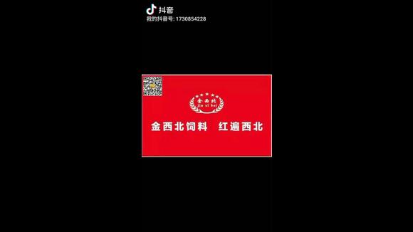 招各地市饲料代理商