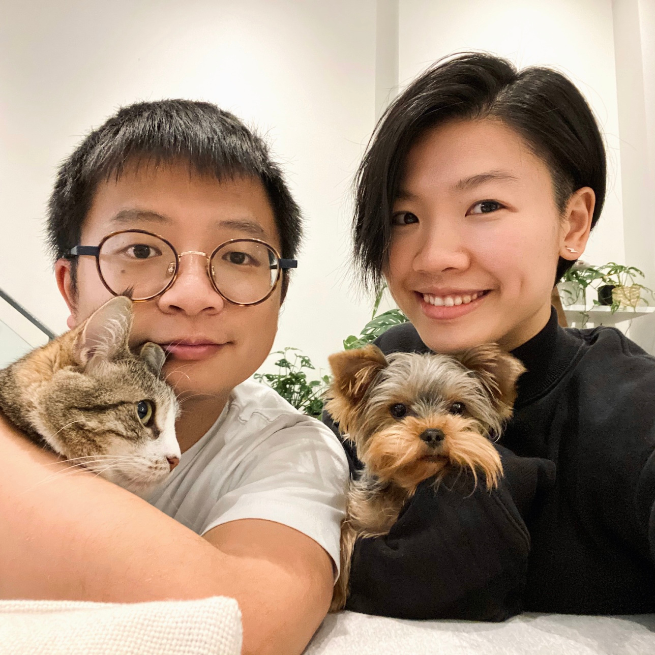 骏仔加上温哥华 