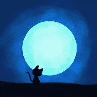 星辰聊趣事一 