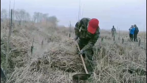 植树造林,绿化祖国,造福人类。#植树季 #今年你植树了吗 @抖音短视频