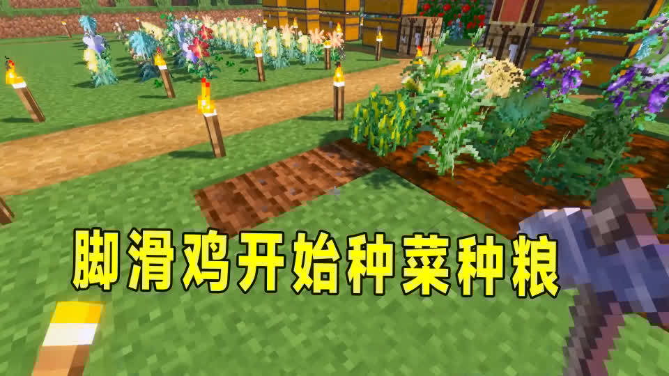 甜蜜与魔法12:为了不让自己饿肚子,脚滑鸡开始种菜种粮