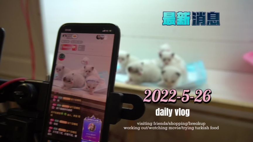 品种:ߘ�布偶猫 性别:ߩ� 生日:ߐ�2022-5-7 特征:还不会走路