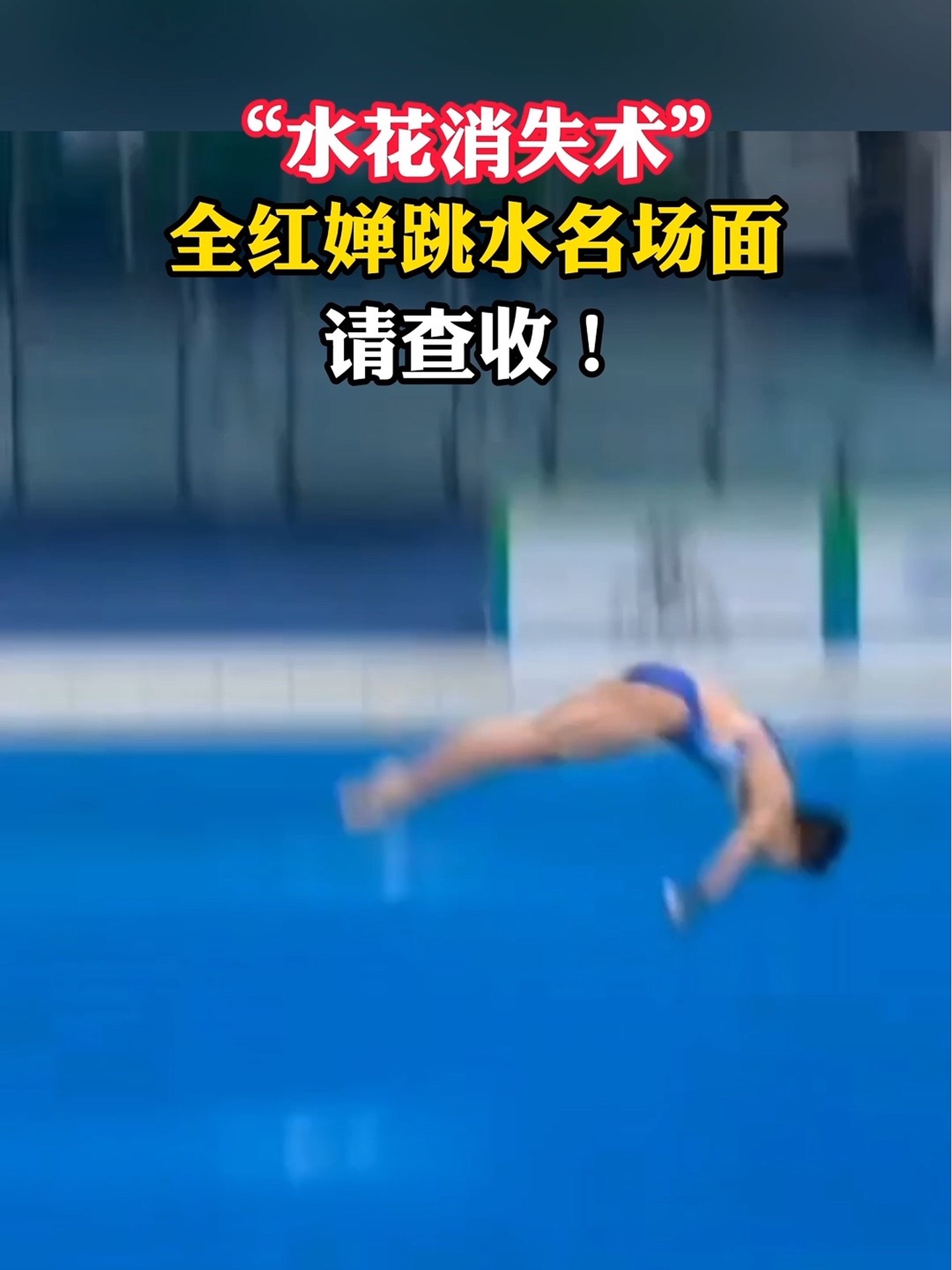全红婵跳水名场面请查收