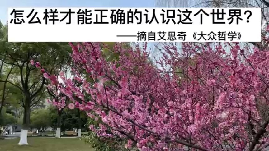 《大众哲学》第2集 怎么样才能正确的认识这个世界?改变命运轨迹