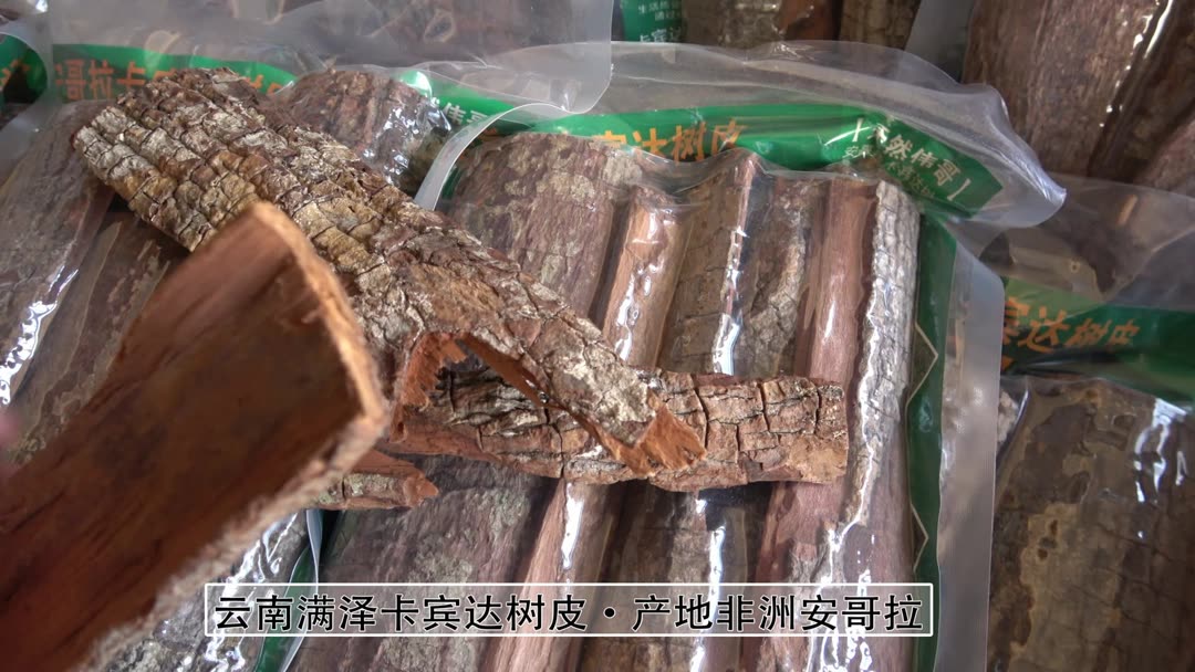 云南满泽卡宾达树皮剥下来原样子