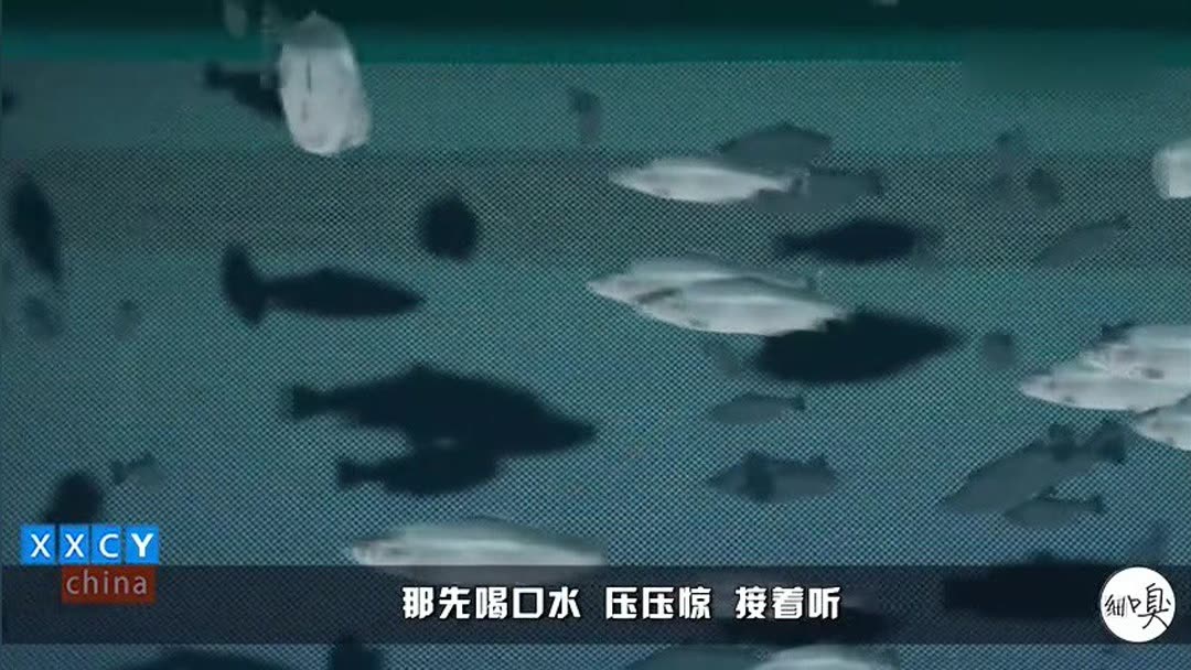 海上船式移动养鱼,一条养鱼船几百万都下不来,养鱼能挣回来么
