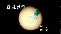 你不知道的微生物世界