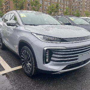 芜湖奇瑞星途特价超市 