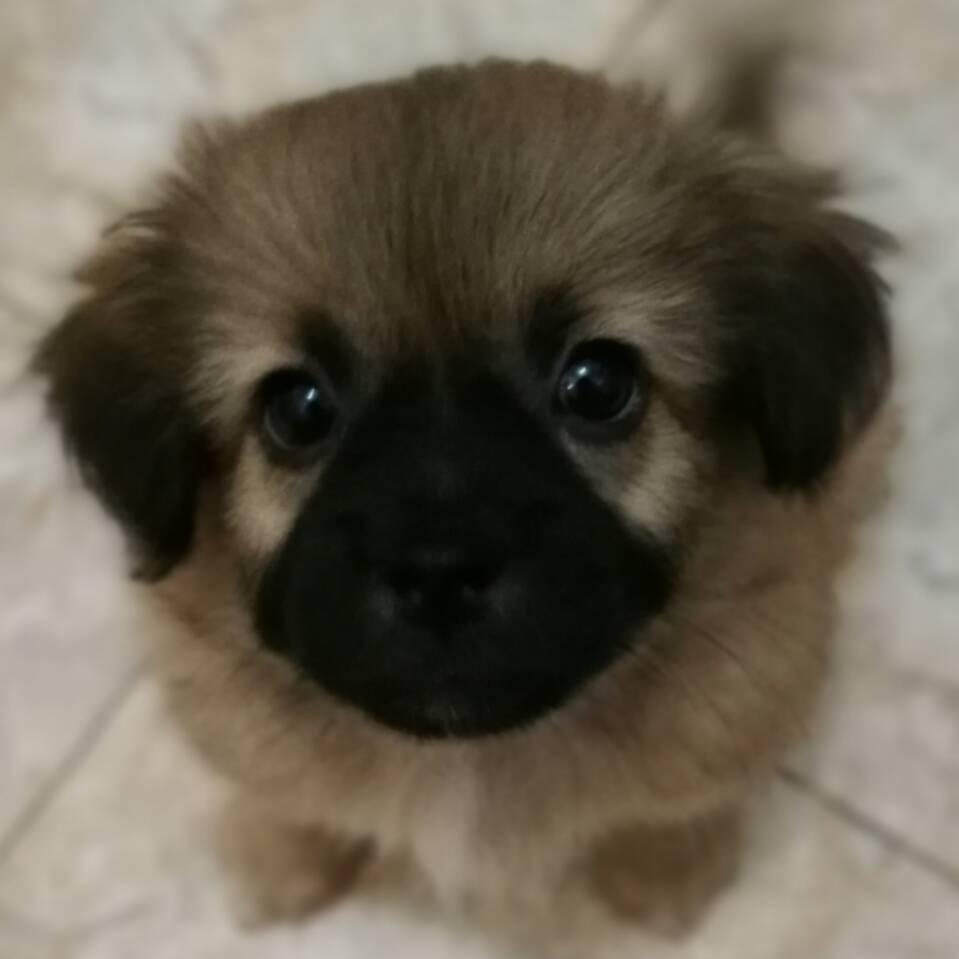 知行合一的人生 