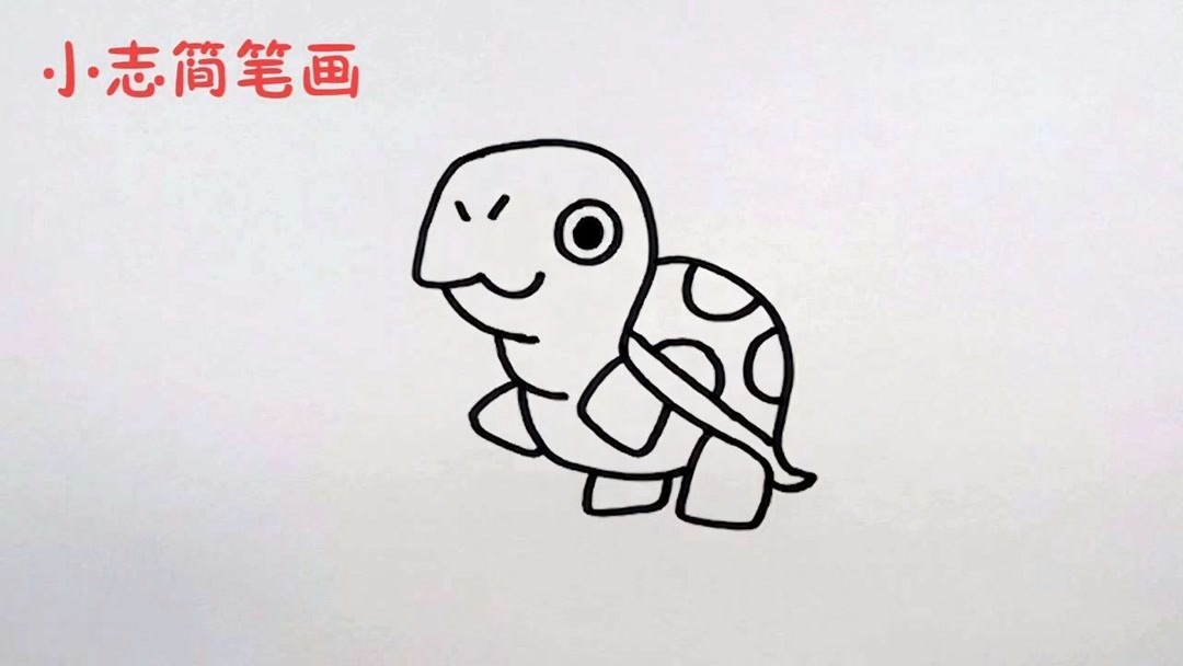 教你画可爱的小乌龟,快来和小志老师一起画吧!