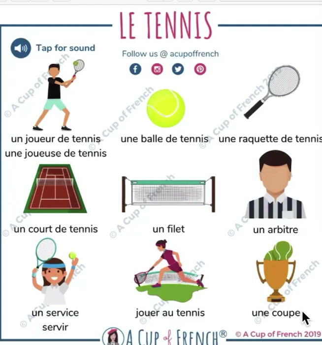 每天3分钟看图学实用法语词汇 14.2 网球 网球运动员 球网 裁判 球童 ...