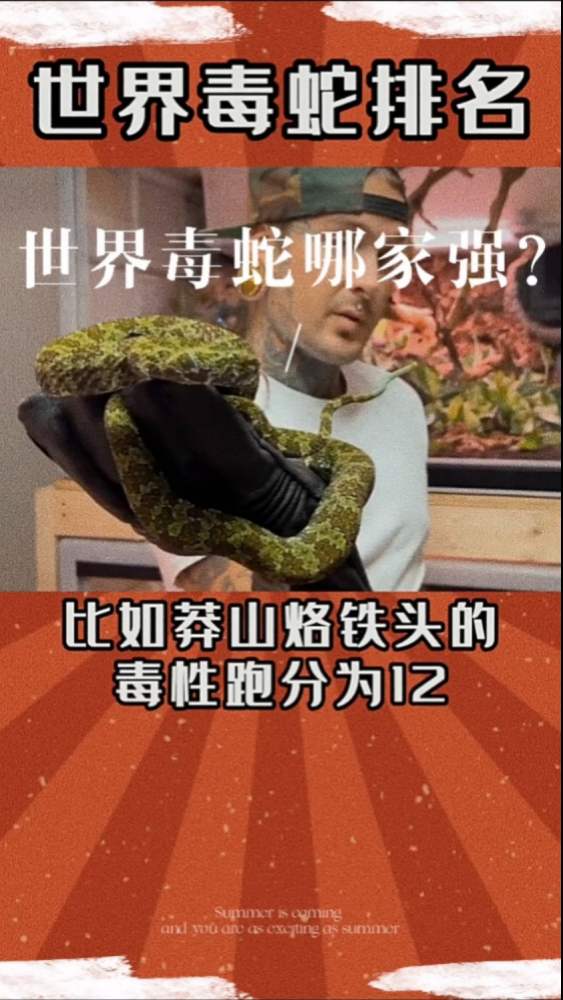 世界毒蛇十大排行榜