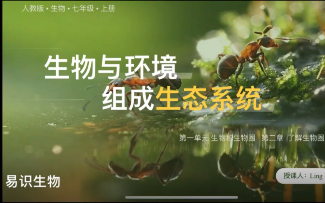 人教版七年级生物原创课件《生物与环境组成生态系统》