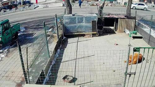 大爷在马路上淡定行走,要跟汽车比速度,出门要注意安全